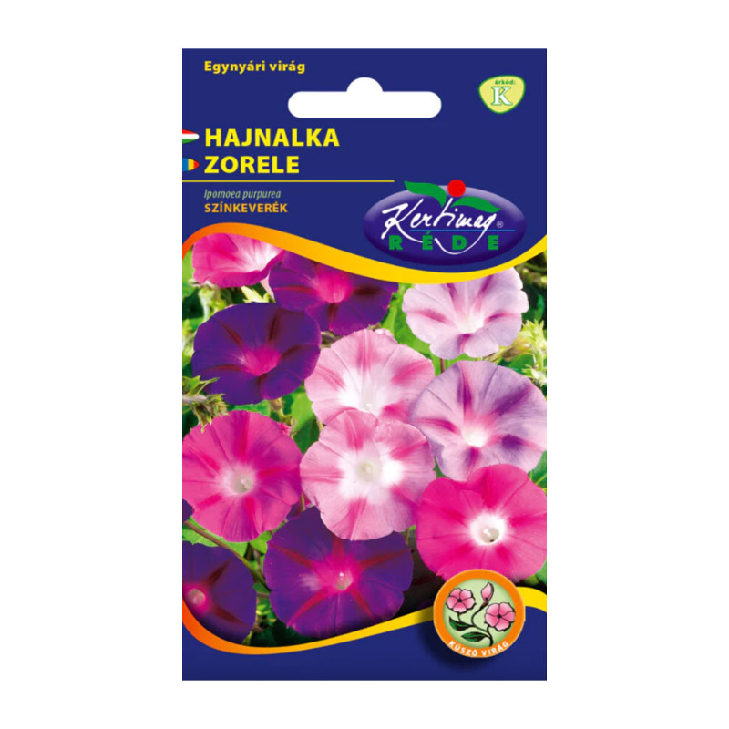 Seminte flori Zorele (Ipomea purpurea) amestec de culori - Seminte ...