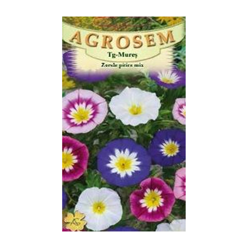 Seminte flori Zorele pitice Mix (Convolvulus tricolor) - Seminte flori ...