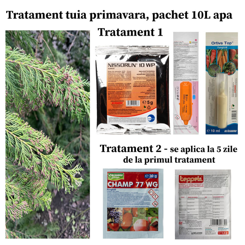 Schema tratament tuia - ferma-gradina.ro - ferma-gradina.ro